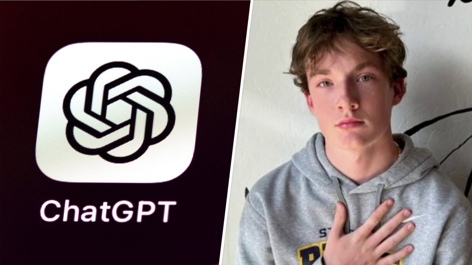 OpenAI Sued For Wrongful Death After Teen Uses ChatGPT For Suicide Planning